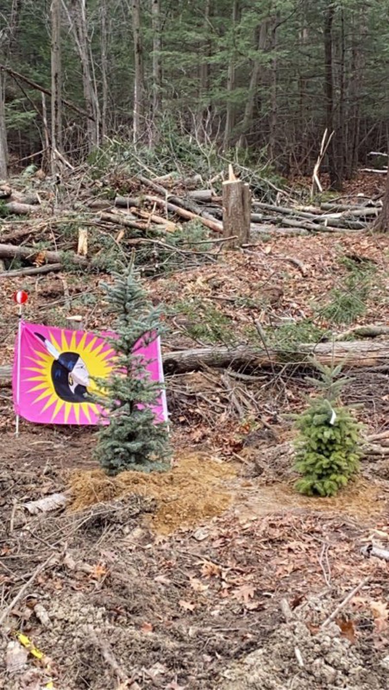 Women stand up to protect trees | The-14