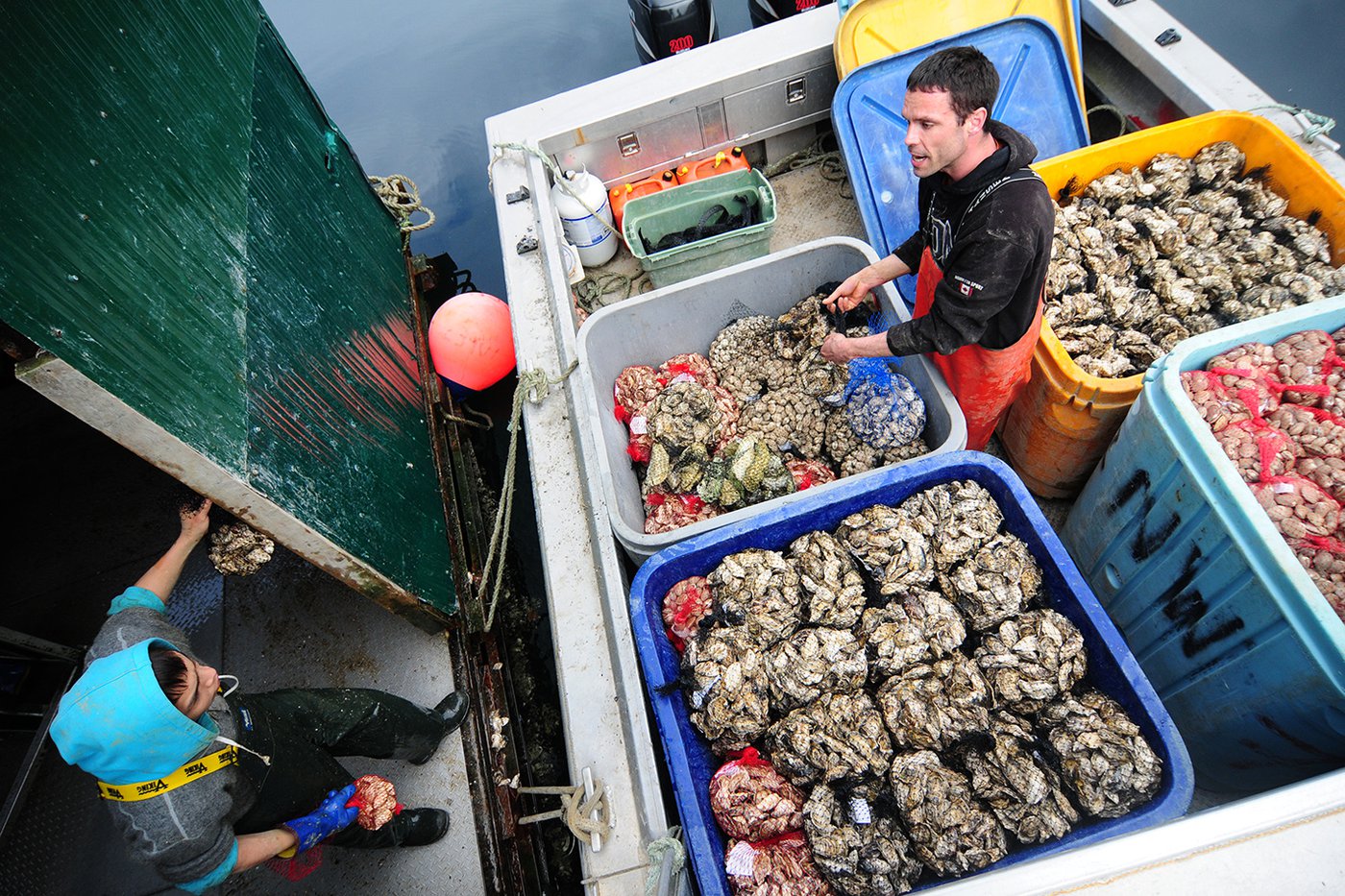 B.C. scientists look at climate change impacts on aquaculture ...