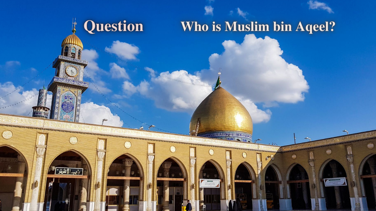 Question 27/ Who is Muslim bin Aqeel? | The-14