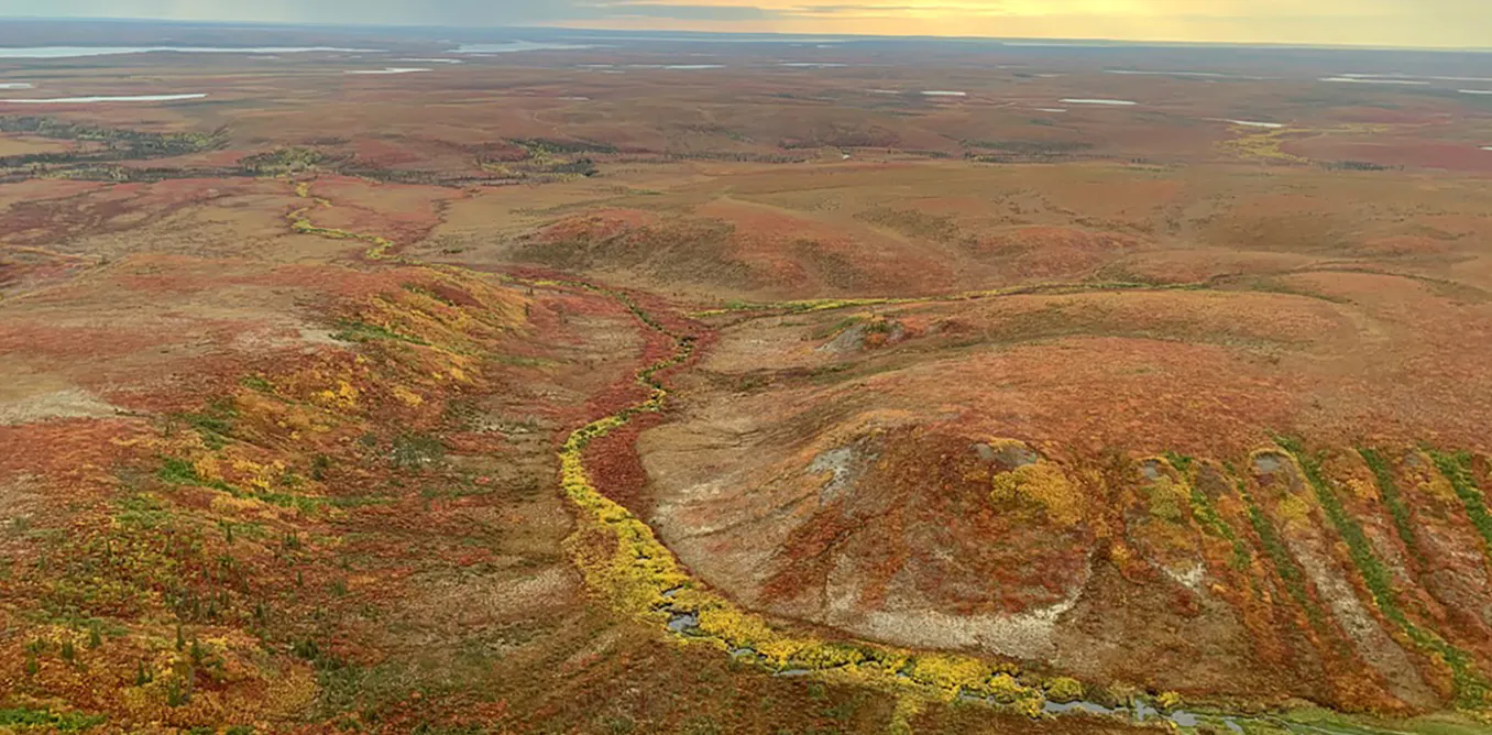 Peatlands protect against wildfire and flooding, but they’re still ...