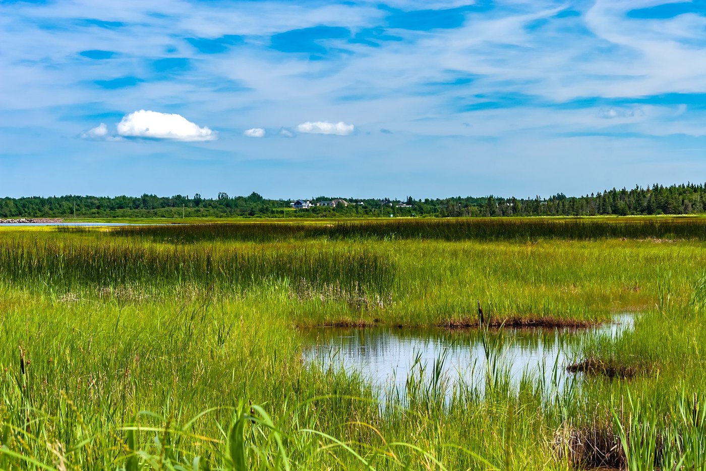 Canada can learn from these two provinces on climate action | The-14