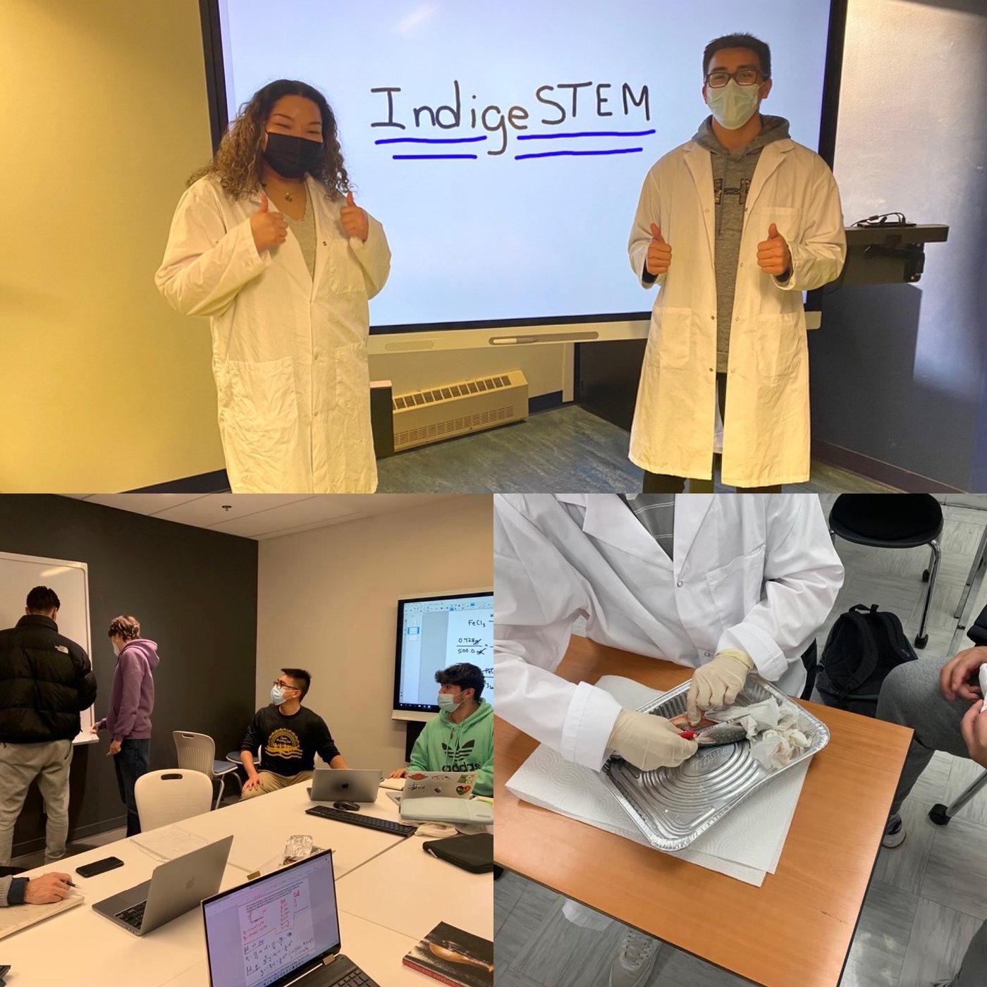 CEGEP students create Indigenous tutorship | The-14