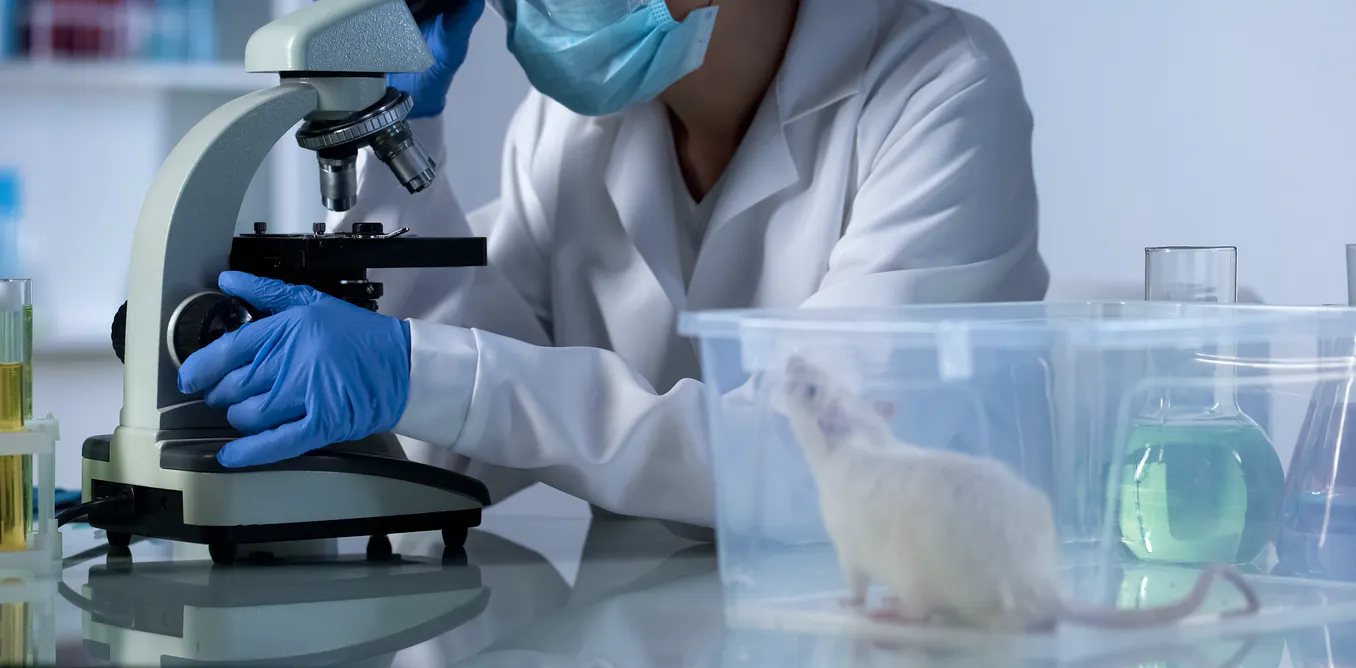 Laboratory mice are usually distressed and overweight, calling into ...