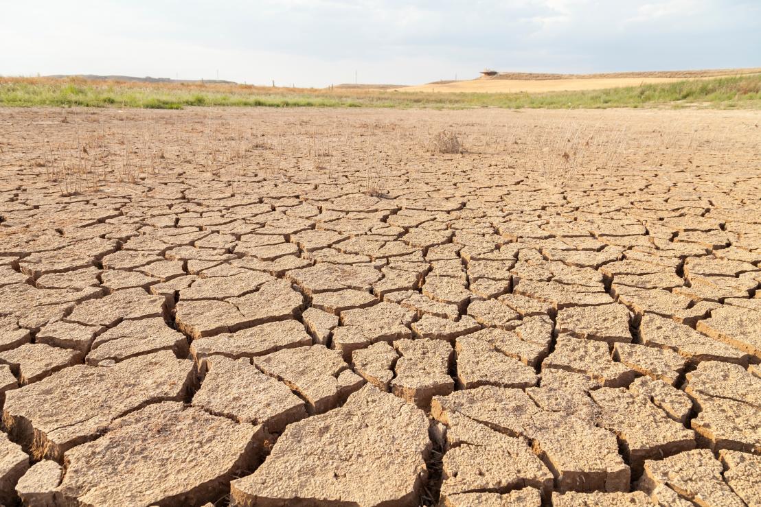 Stretching sands as desertification spreads to Europe | The-14