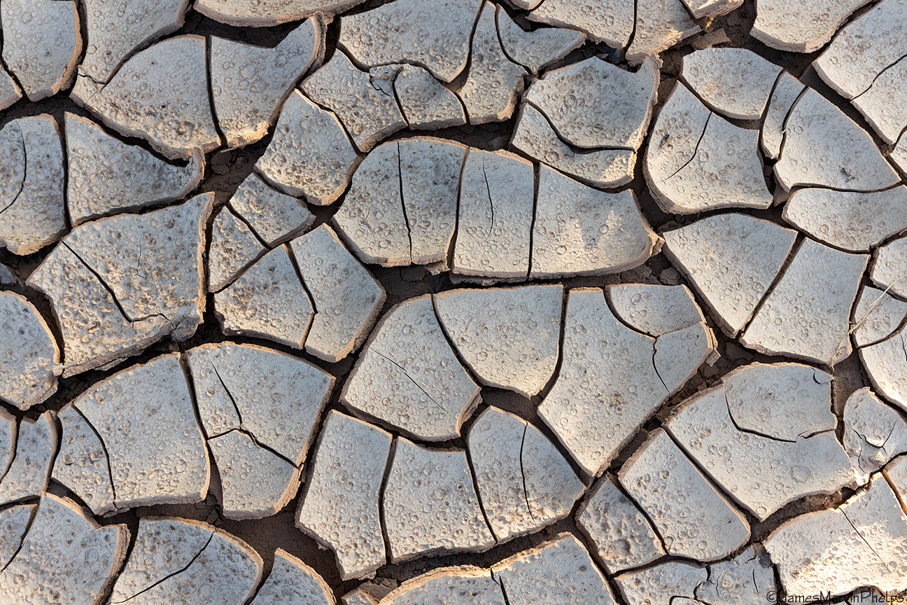 Megadrought in the American South-West: A Climate Disaster Unseen in ...