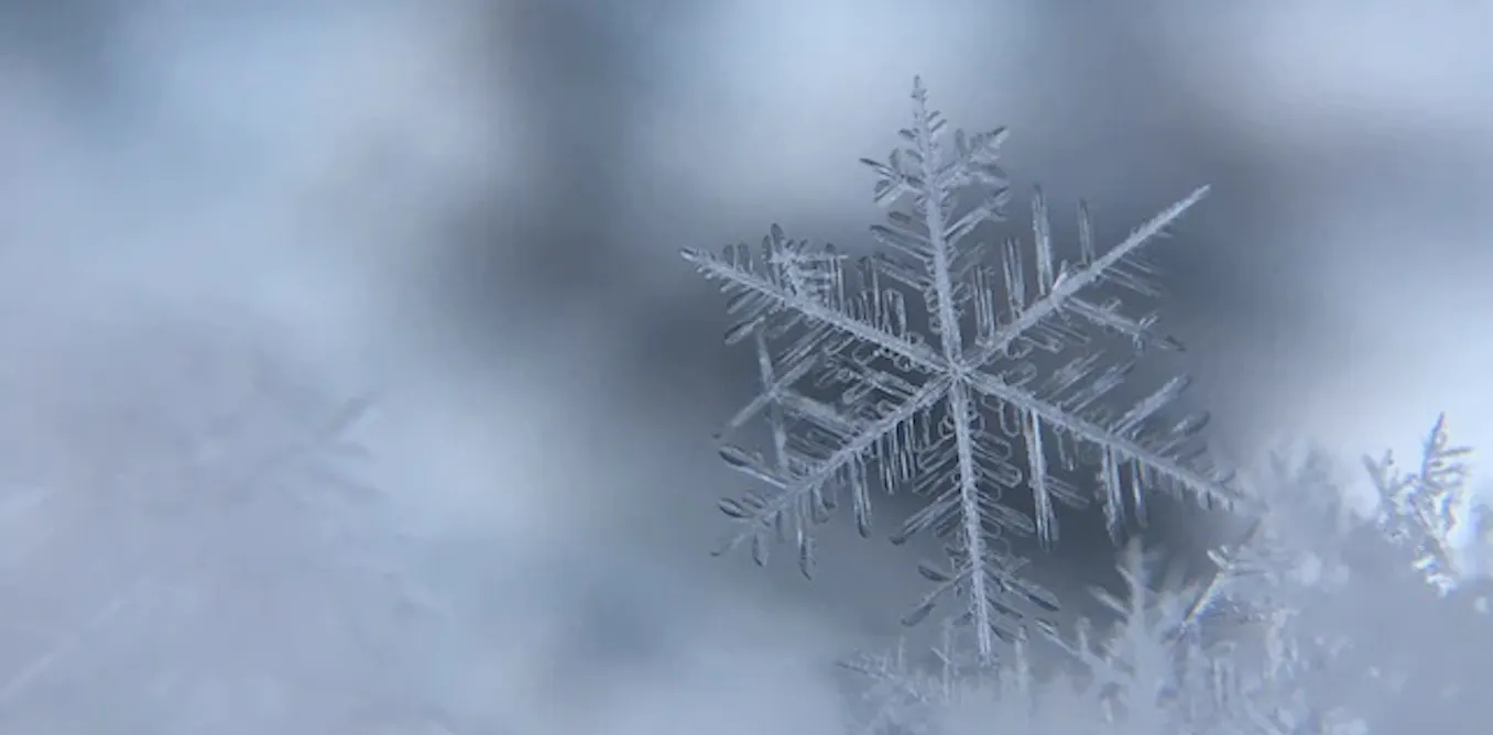 How do snowflakes form? Is each snowflake really unique? Why is some ...