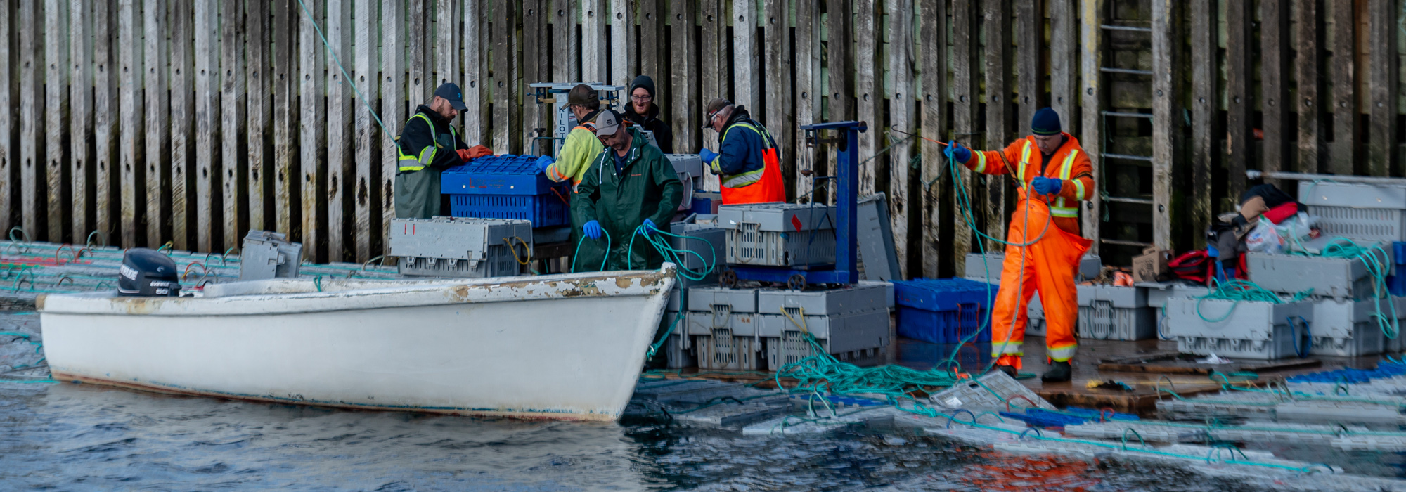 Will Employment Insurance reform worsen labour shortages? Not likely ...