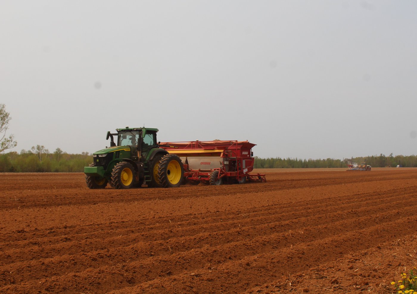 Smoke from Quebec forest fire drifts to eastern PEI | The-14