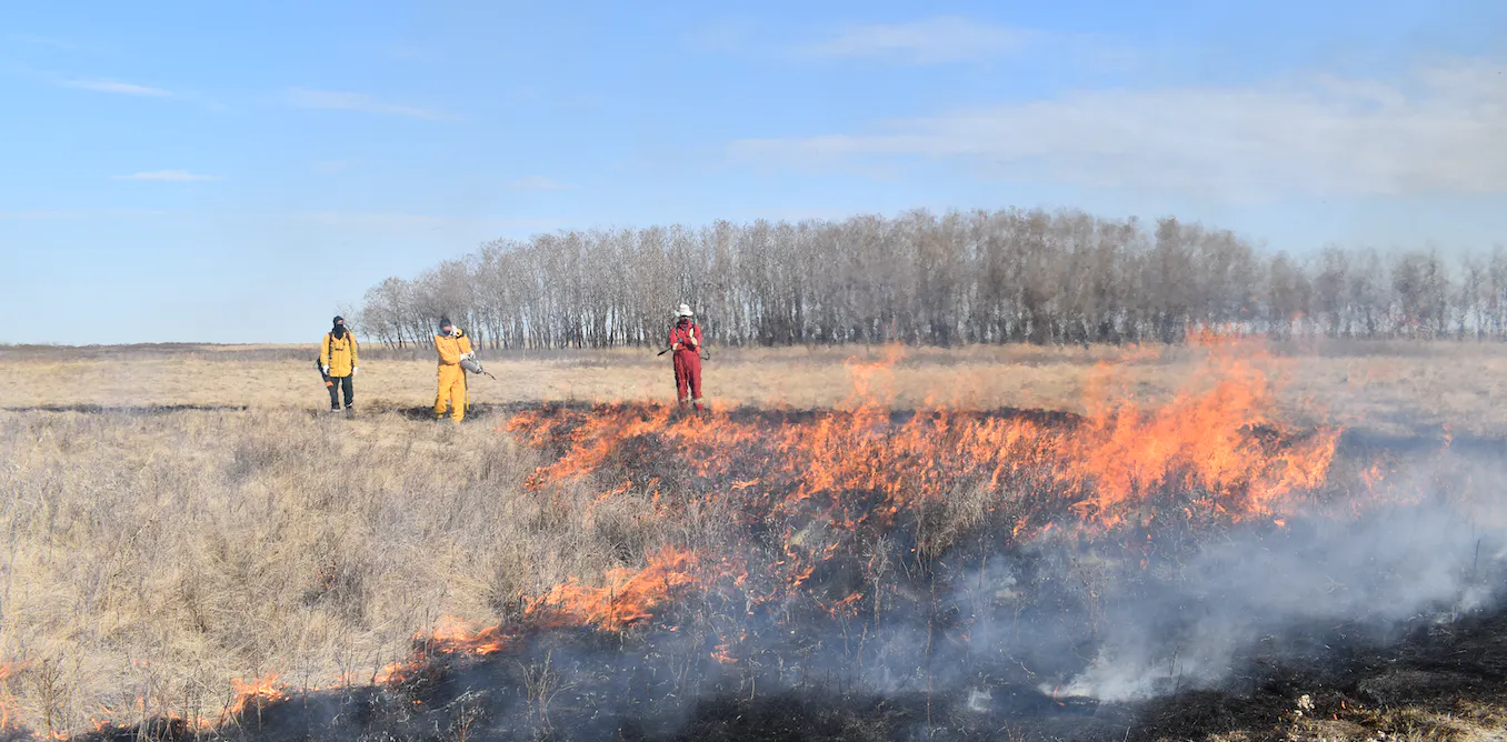 The ‘good fire’: Prescribed burning can prevent catastrophic wildfires ...