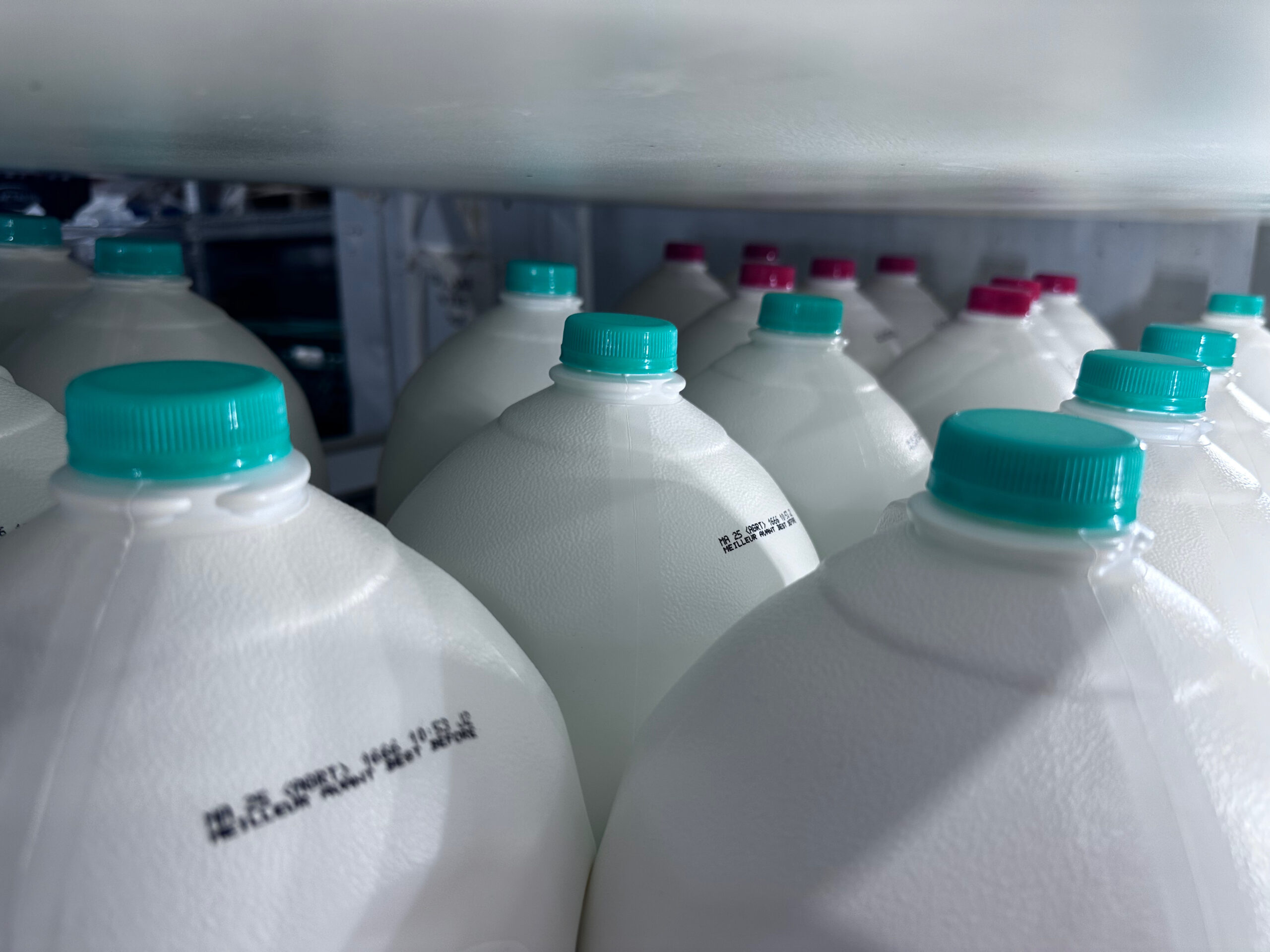U.S. has found H5N1 flu virus in milk — here’s why the risk to humans ...