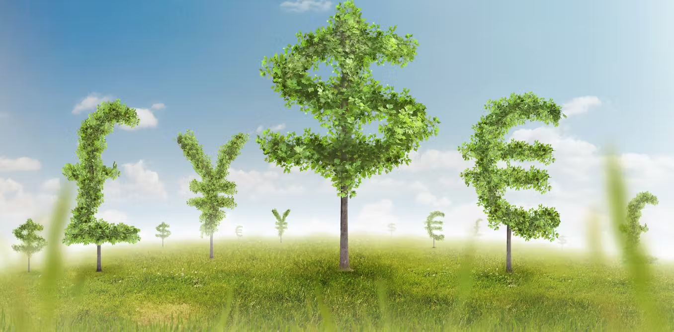 A gold rush for ‘green finance’ risks changing our relationship to ...
