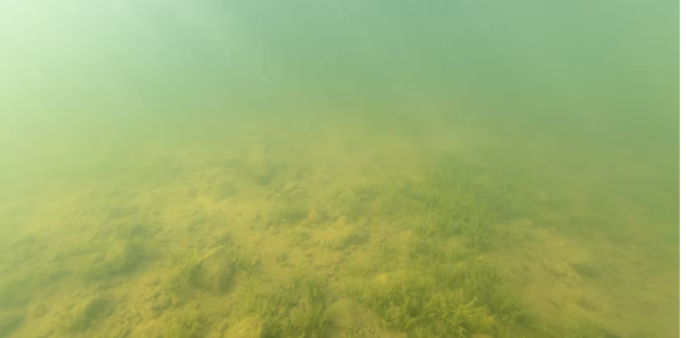 Lake beds are rich environmental records — studying them reveals much ...