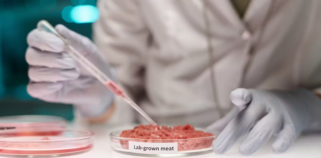 Lab-grown meat: you may find it icky, but it could drive forward ...