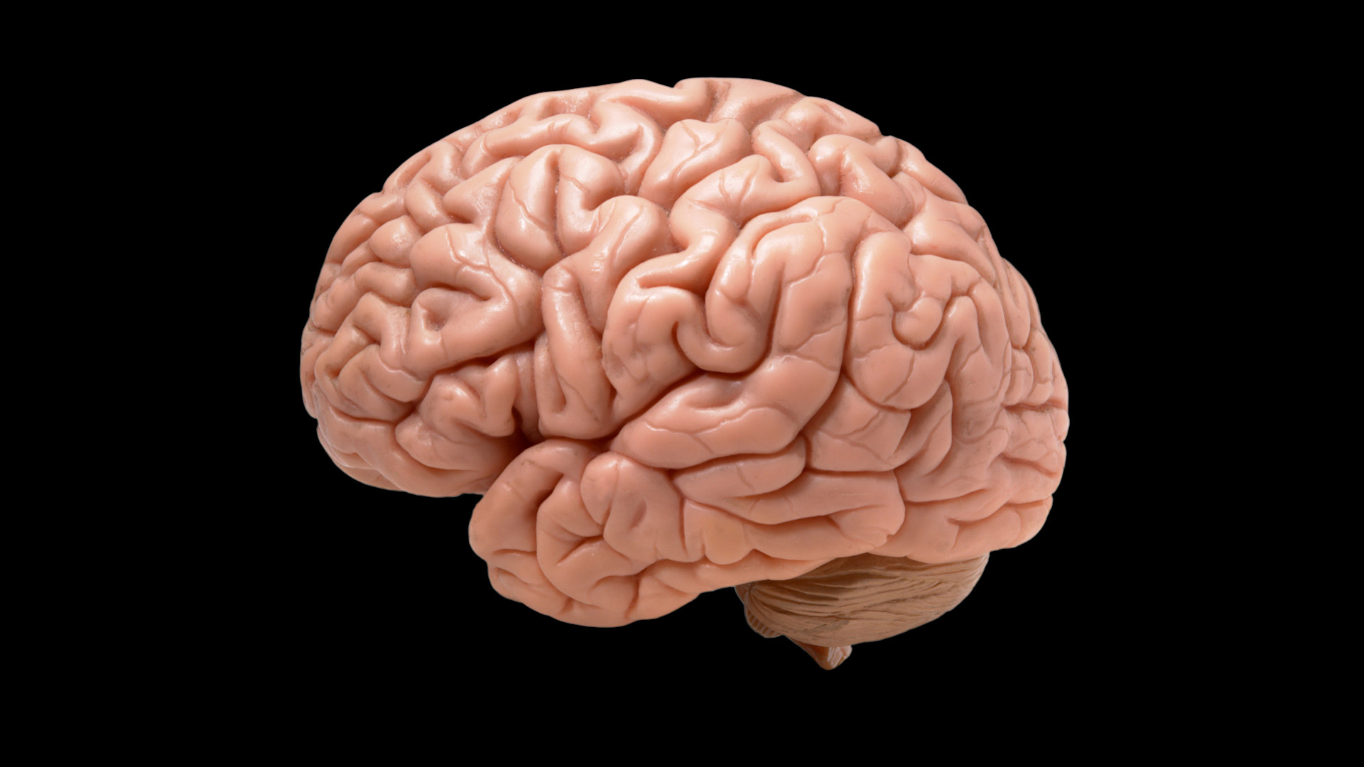 No, your brain doesn’t suddenly ‘fully develop’ at 25. Here’s what the ...